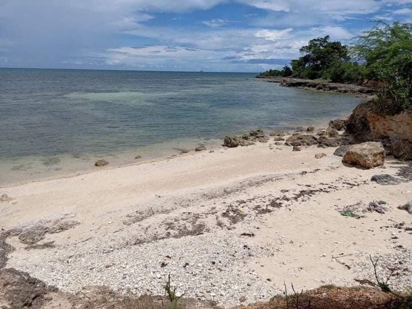 Beachlot for sale at Agujo Daan Bantayan Cebu Near in Kandaya Resort Beachlot for sale at Agujo Daan Bantayan Cebu Near in Kandaya Resort