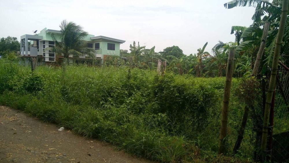 Affordable Residential Lot for Sale -Brgy. Lico-an, Barotac Nuevo ... Affordable Residential Lot for Sale -Brgy. Lico-an, Barotac Nuevo ...