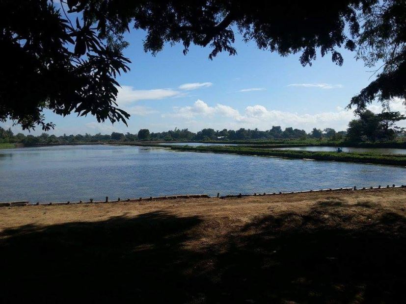 Agricultural Lot For Sale at Hagonoy, Bulacan Agricultural Lot For Sale at Hagonoy, Bulacan