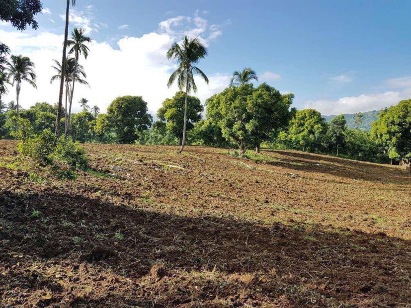 1 Hectare Farm Lot Property at Brgy. Aga, Nasugbu, Batangas RUSH SALE 1 Hectare Farm Lot Property at Brgy. Aga, Nasugbu, Batangas RUSH SALE