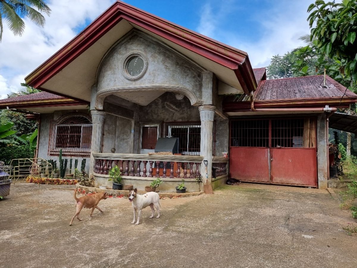 For Sale Farm Lot With Bungalow House In Cool Lucban Quezon